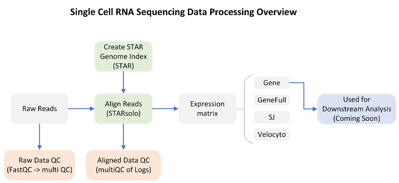 Single Cell RNA Sequencing (scRNA-Seq) - NASA Science