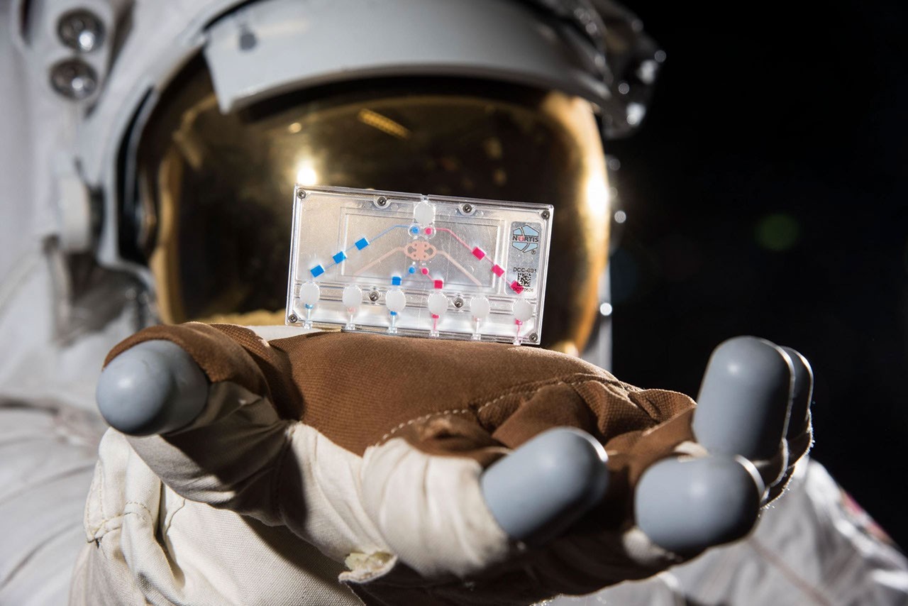 “Avatars” (Tissue chips) Making Big Strides in Precision Health Care ...