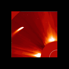 The Sungrazer Project - NASA Science