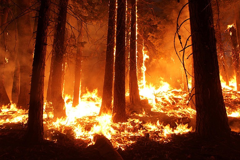 Six trends to know about fire season in the western U.S. - NASA Science
