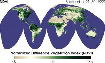 Measuring Vegetation (NDVI & EVI) - NASA Science