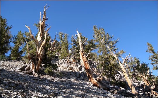 Paleoclimatology: Climate Close-up - NASA Science