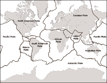 fossil correlation continental drift