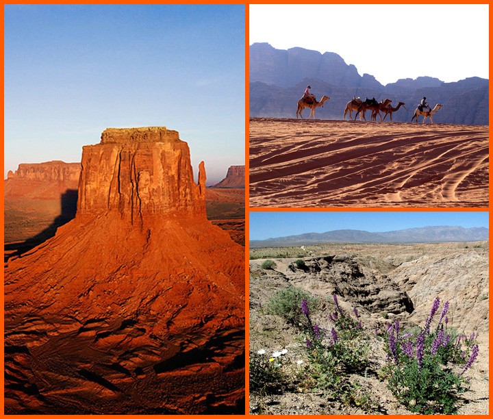 Biome: Desert - NASA Science