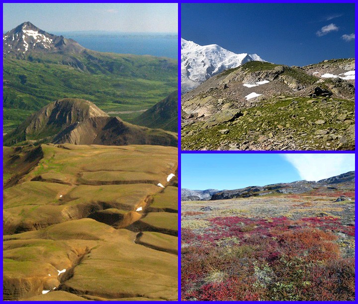 Biome: Tundra - NASA Science