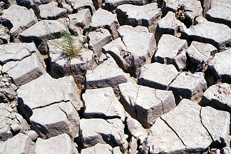 Dry Times in North America - NASA Science