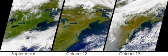 Fall’s Changing Colors - NASA Science