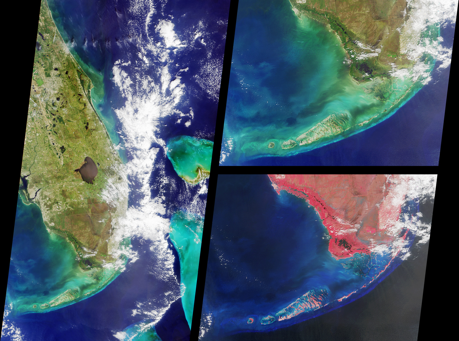 MISR Views Southern Florida - NASA Science