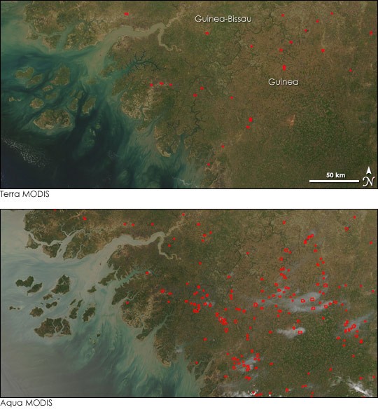 Fires in Guinea-Bissau - NASA Science