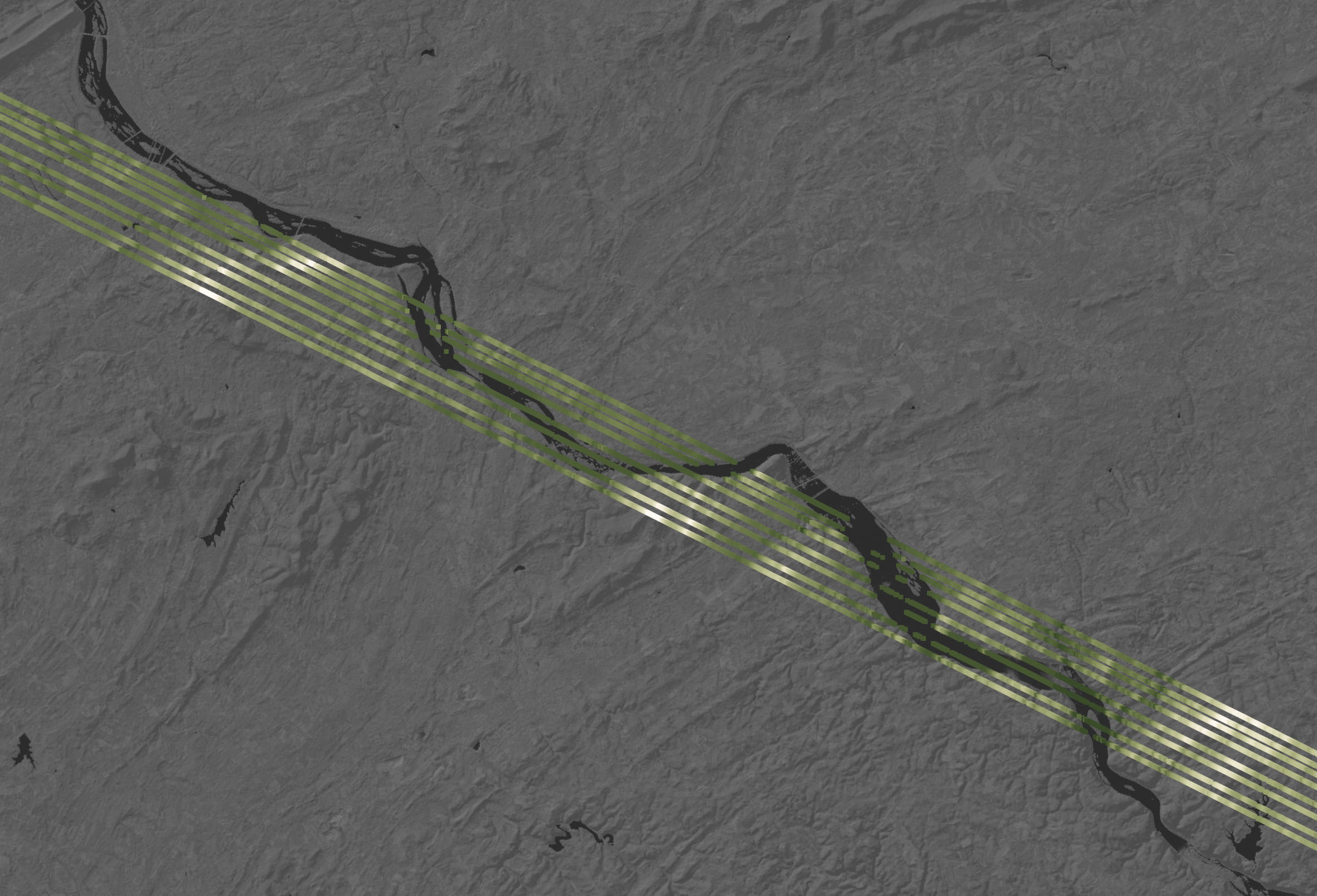 Return of the GEDI’s First Data - NASA Science
