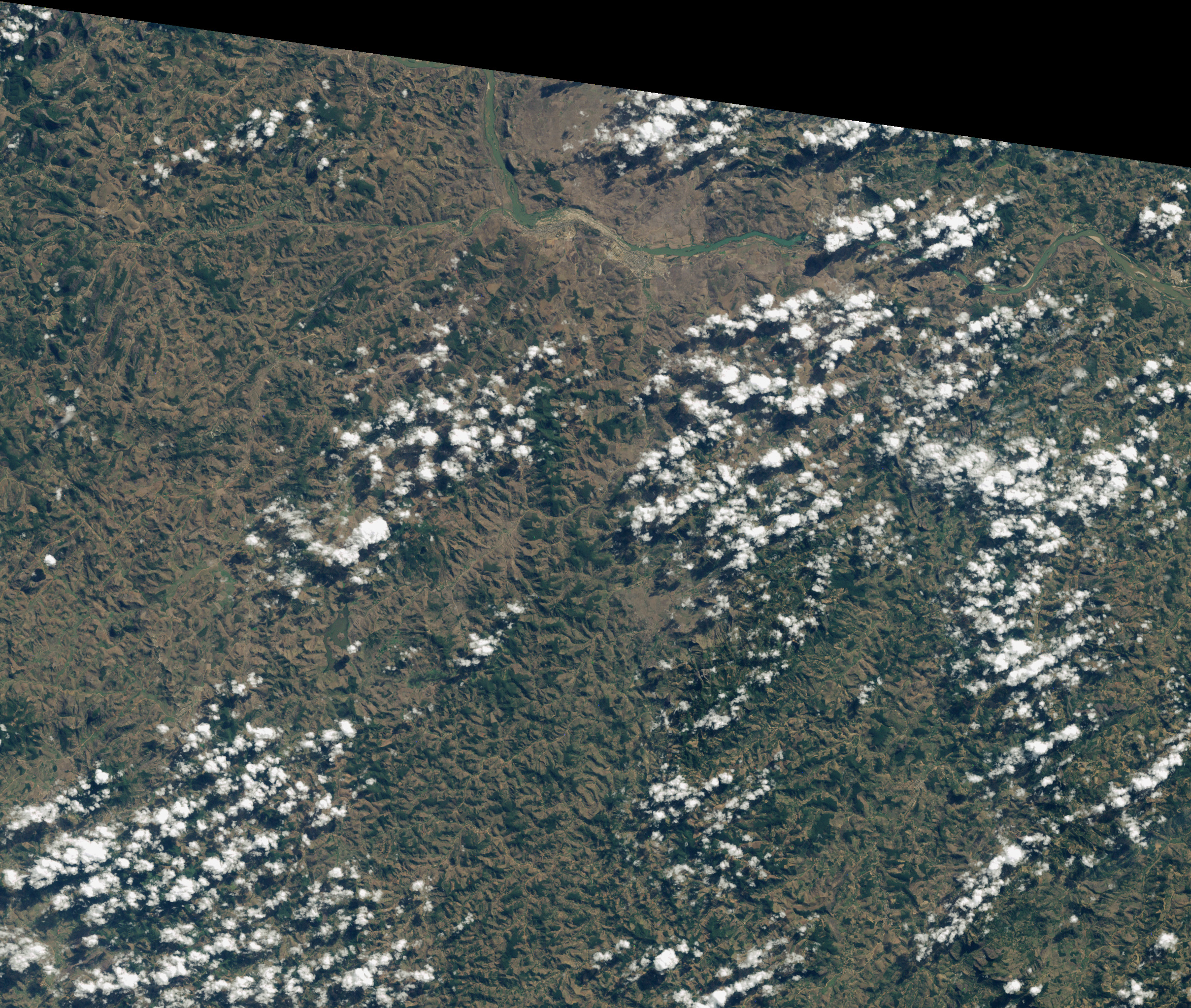 A New Patch of Green in Brazil - NASA Science