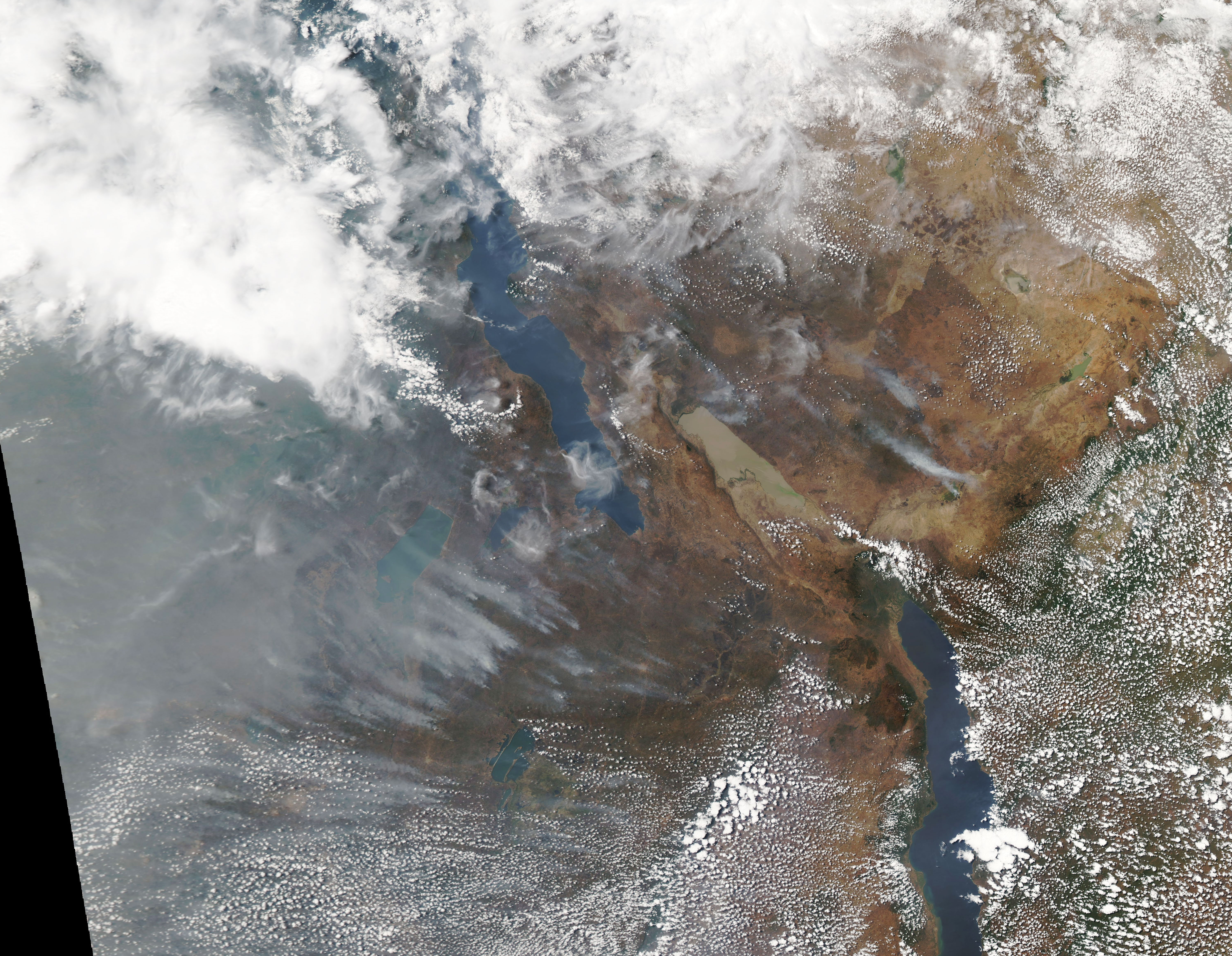 Building a Long-Term Record of Fire - NASA Science