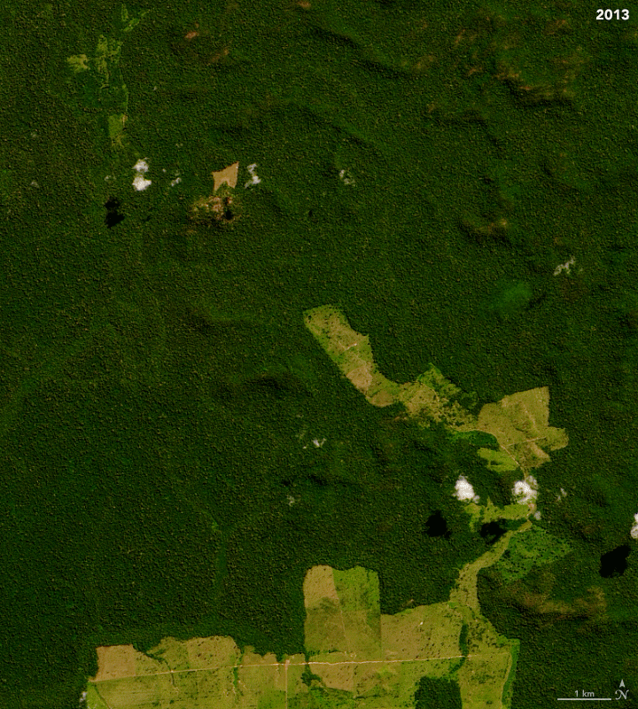 nasa deforestation data