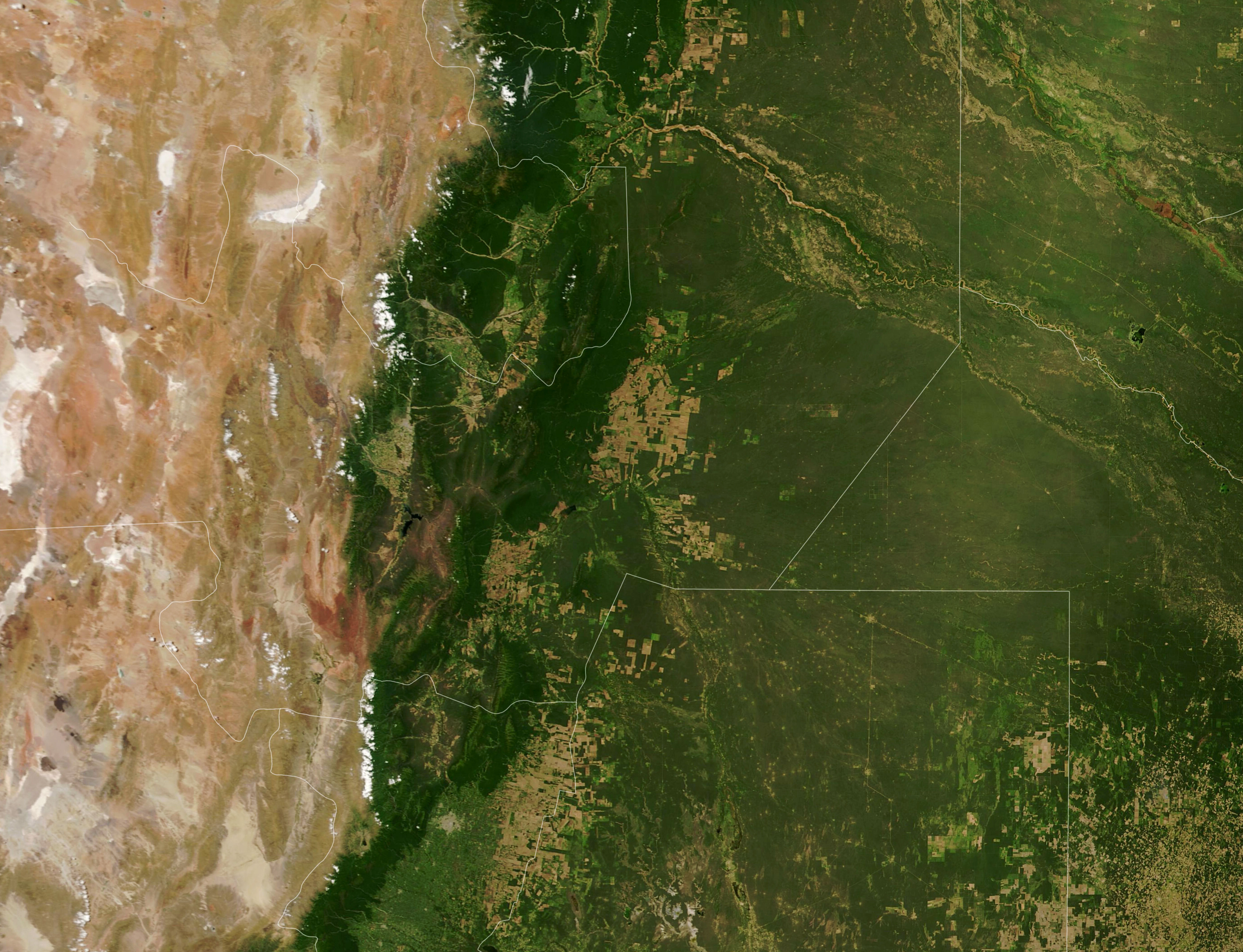 Deforestation in Argentina’s Gran Chaco - NASA Science
