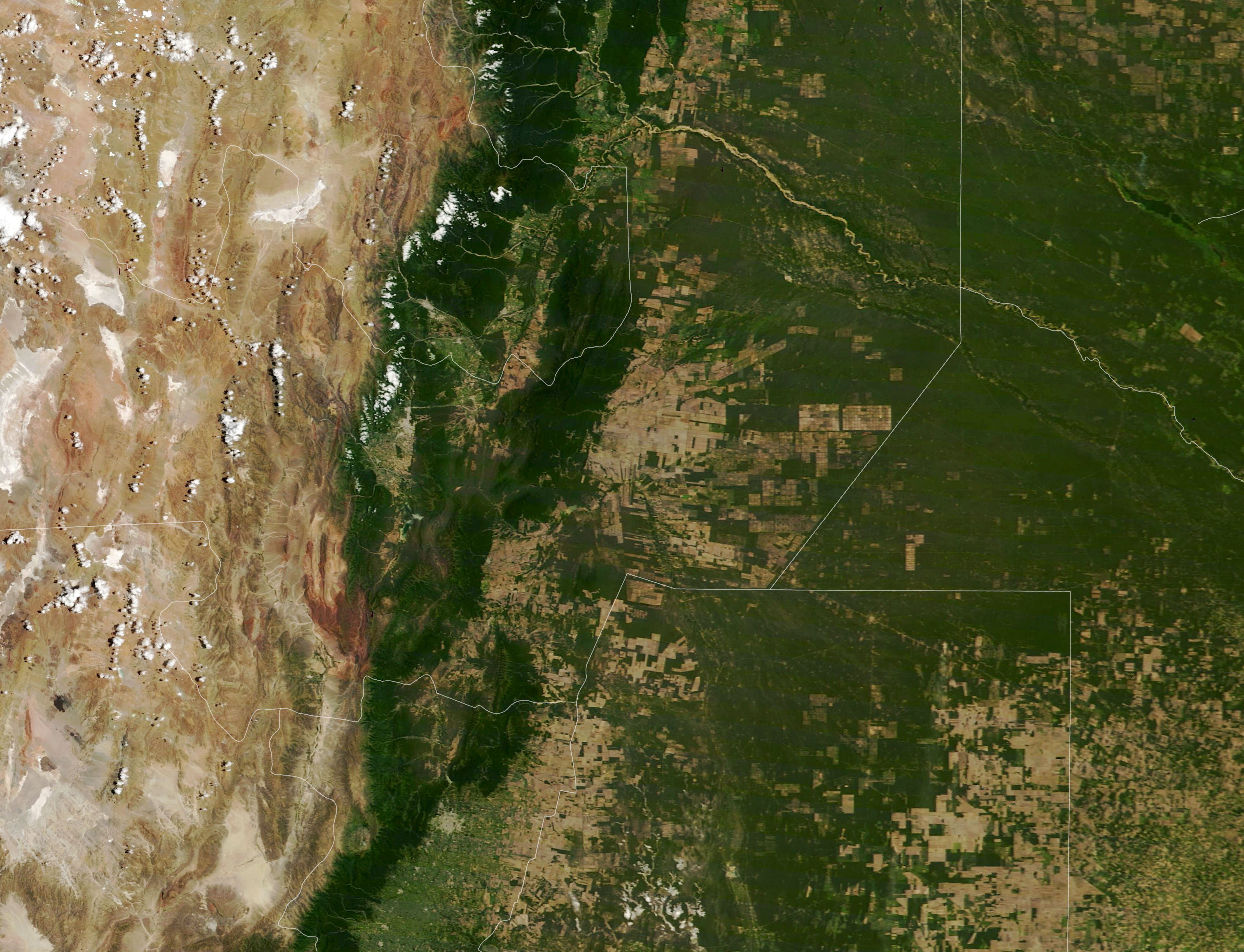 Deforestation in Argentina’s Gran Chaco - NASA Science