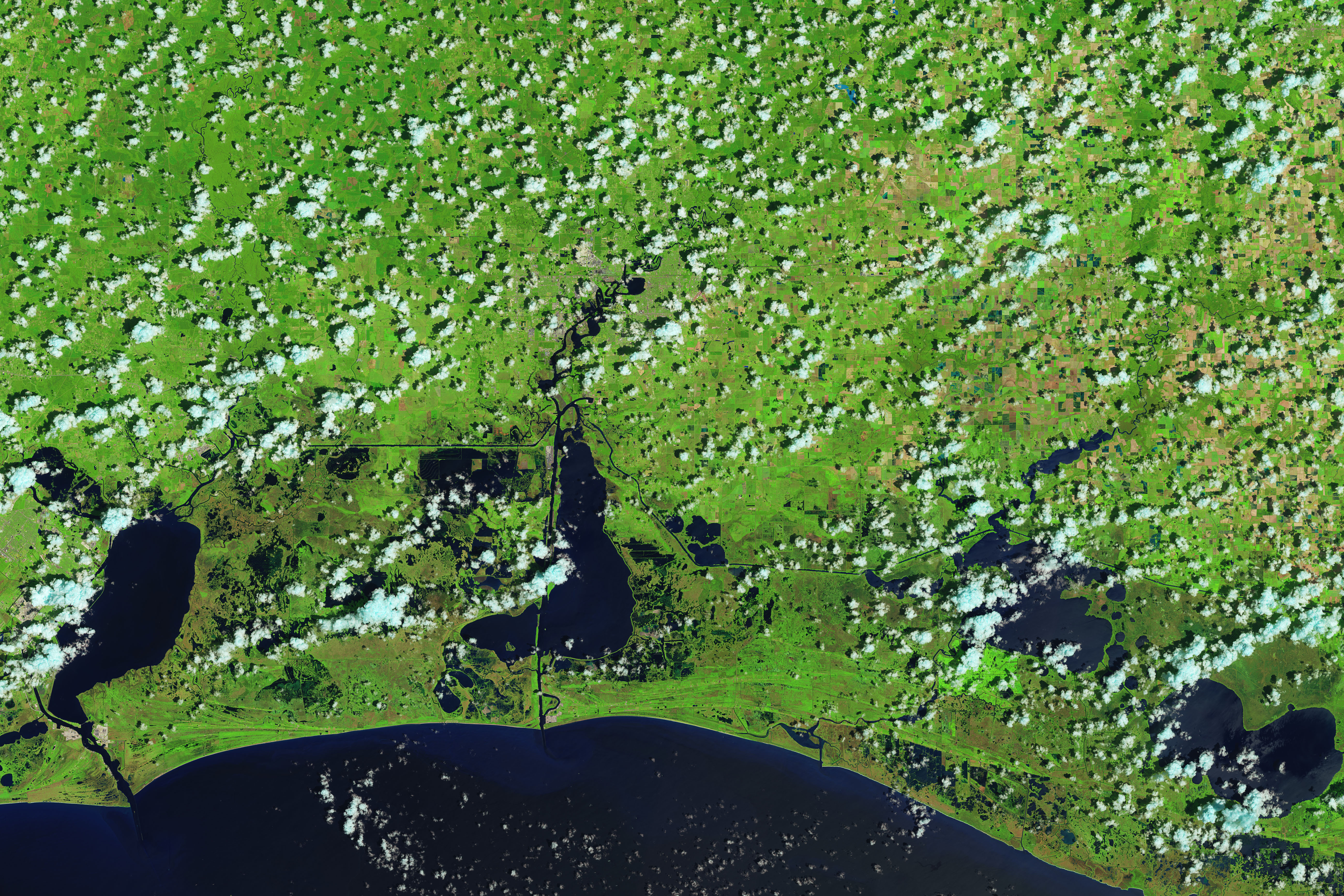 Flooding, Blackouts in the Wake of Laura - NASA Science