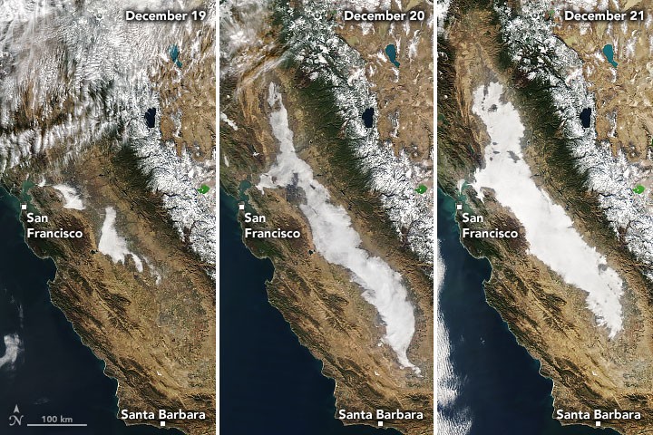 Cool Yule Tule - NASA Science