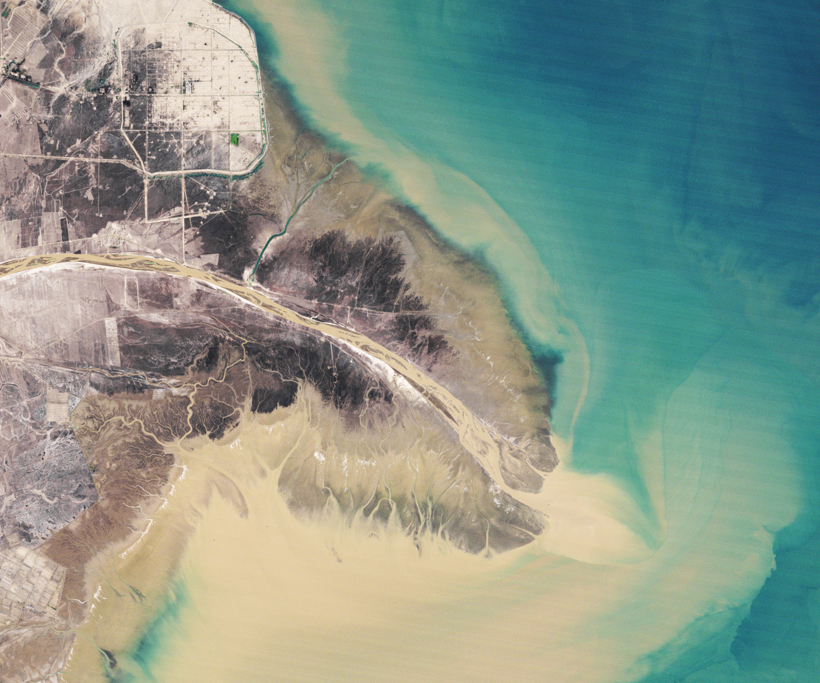 yellow river delta type