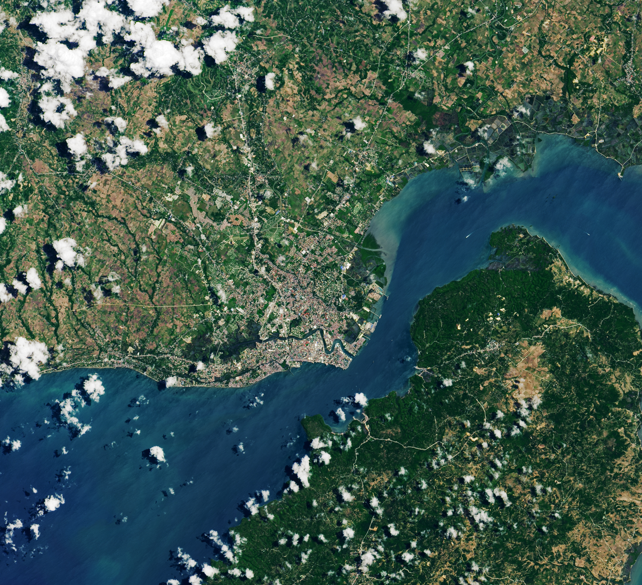 Mangroves Regrow in Iloilo City - NASA Science