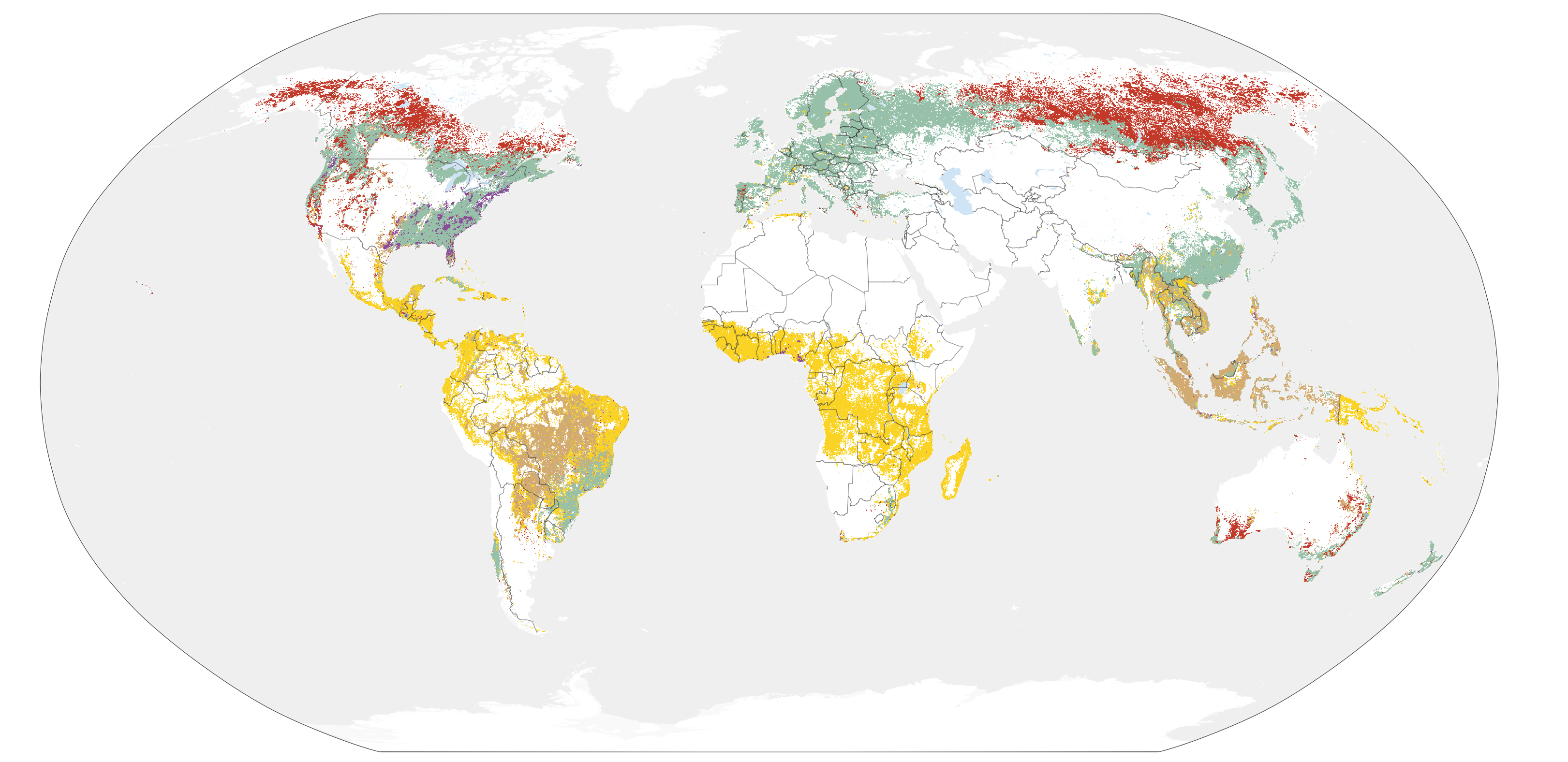 how does cattle ranching cause deforestation