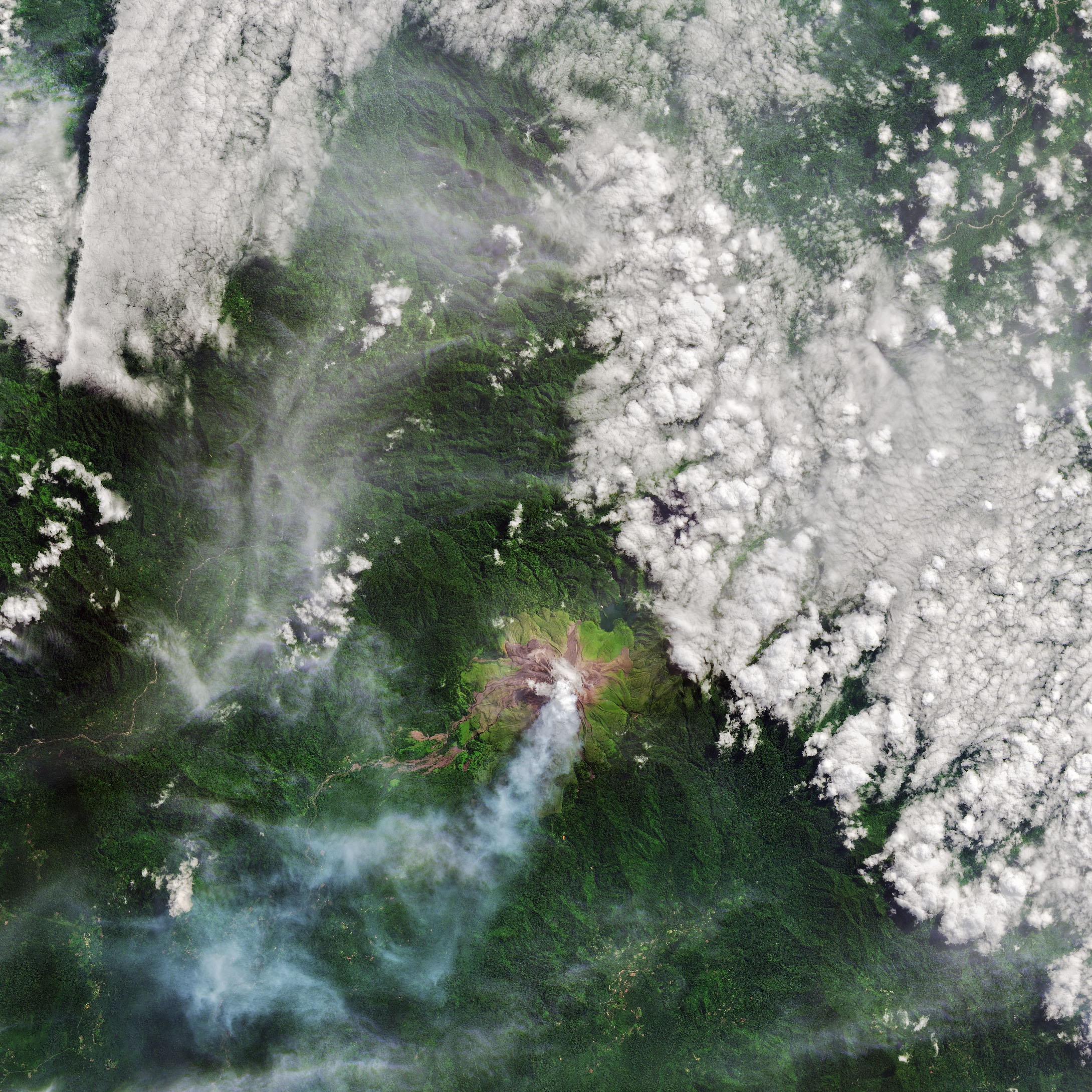 Young, Active Bagana Volcano - NASA Science