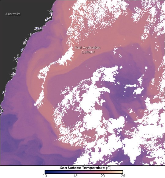 East Australian Current - NASA Science