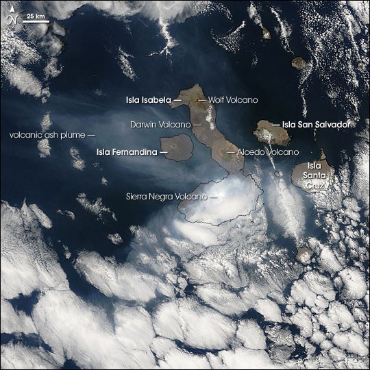 Sierra Negra Erupts - NASA Science