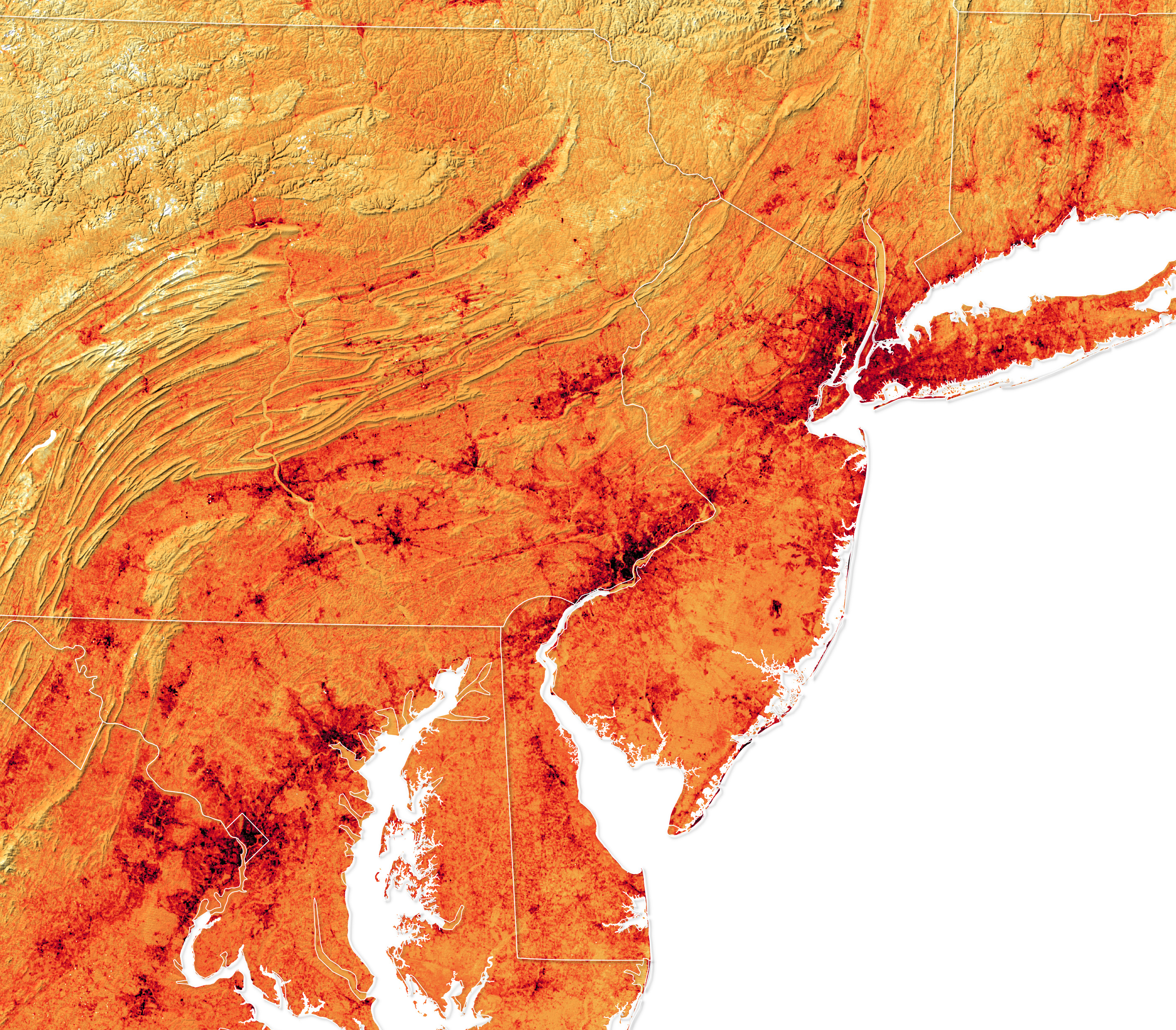 The Inequitable Distribution of Urban Trees - NASA Science