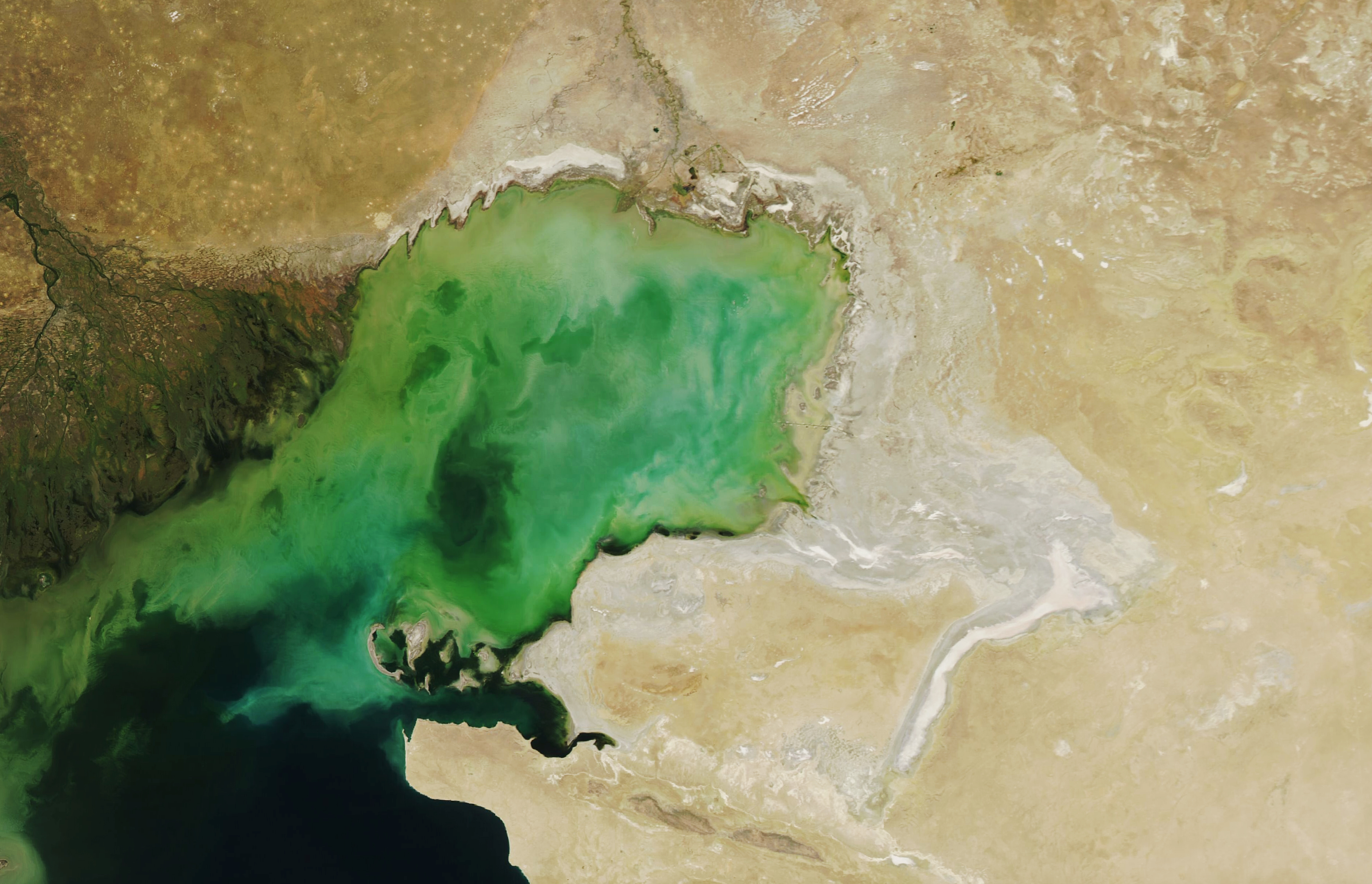 The Caspian Sea’s Shrinking Coastline - NASA Science