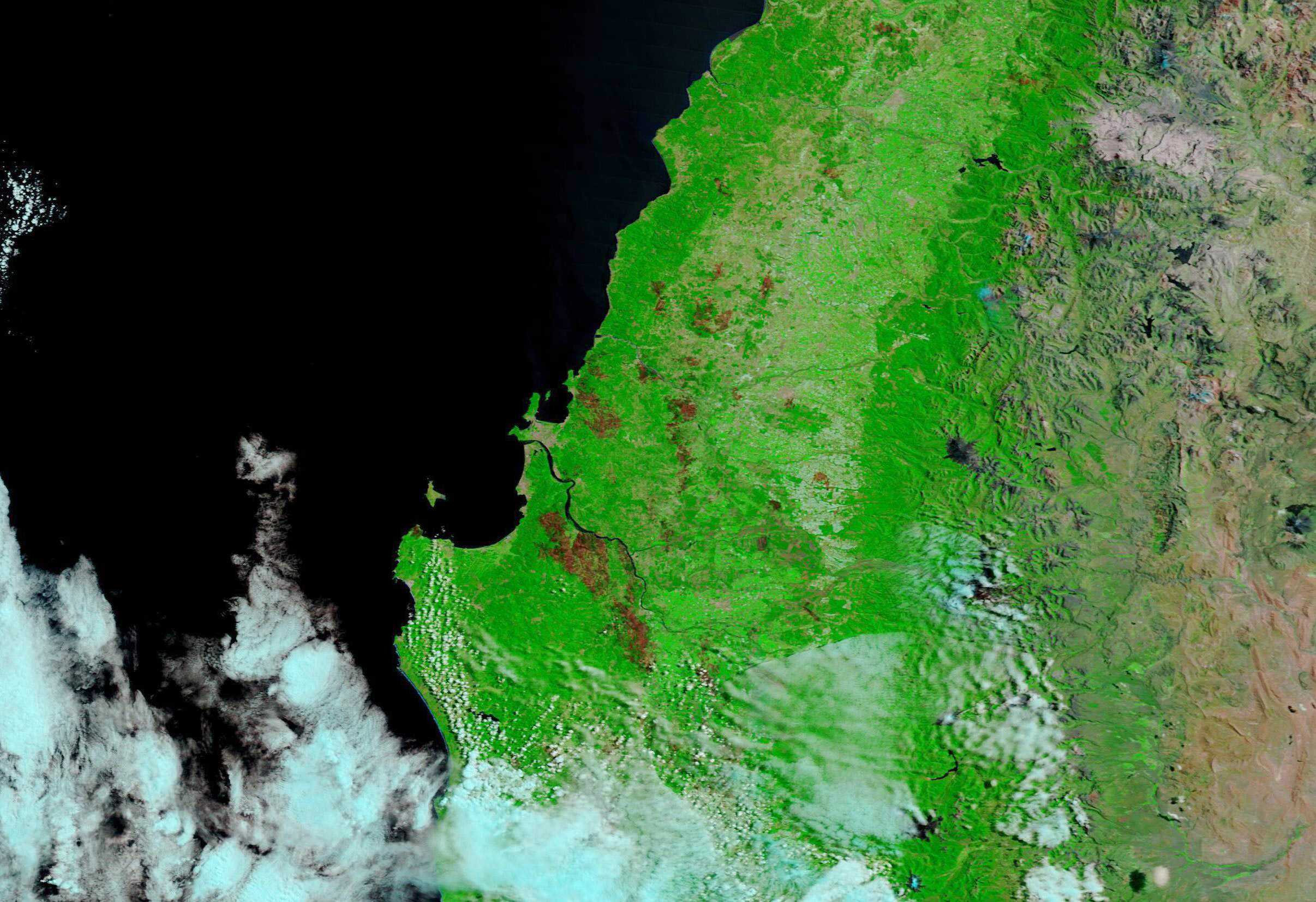 Fires Scar the Chilean Landscape - NASA Science