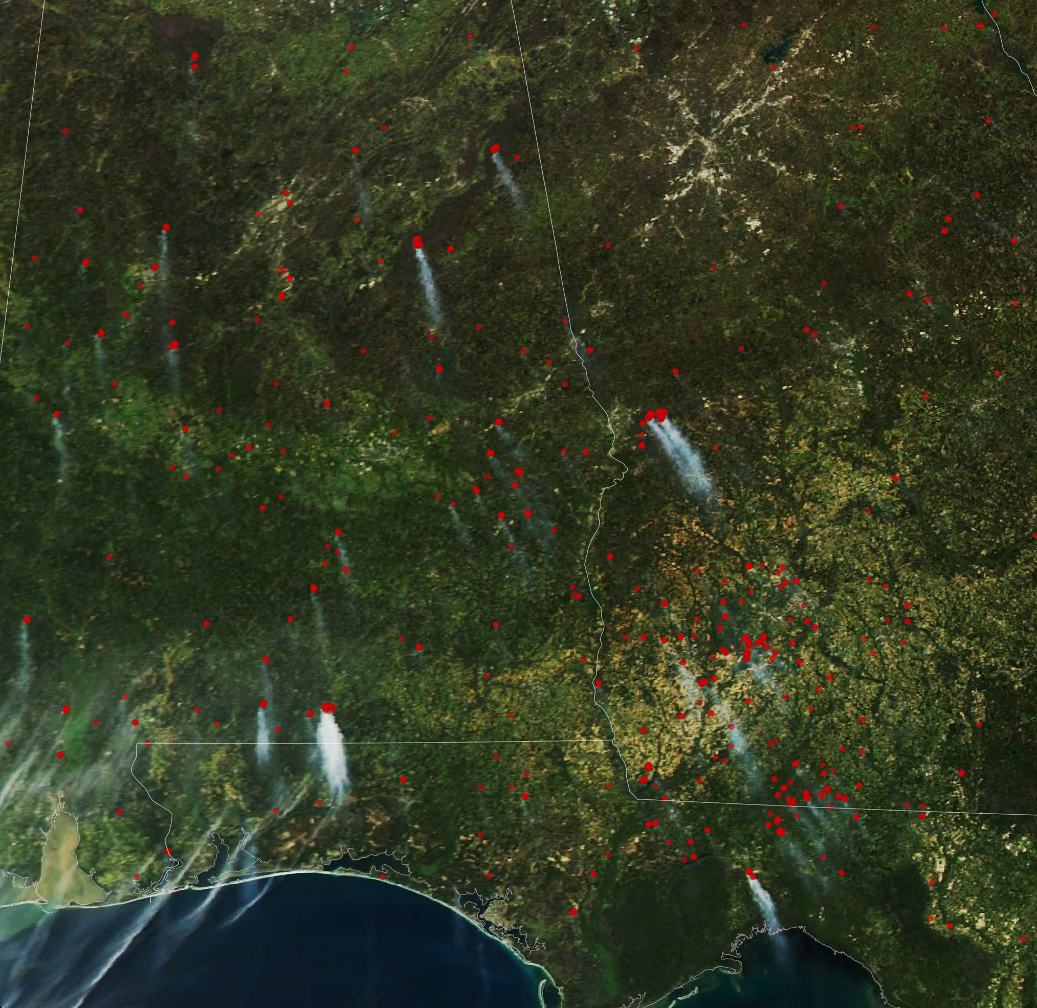 Thriving With Fires - NASA Science