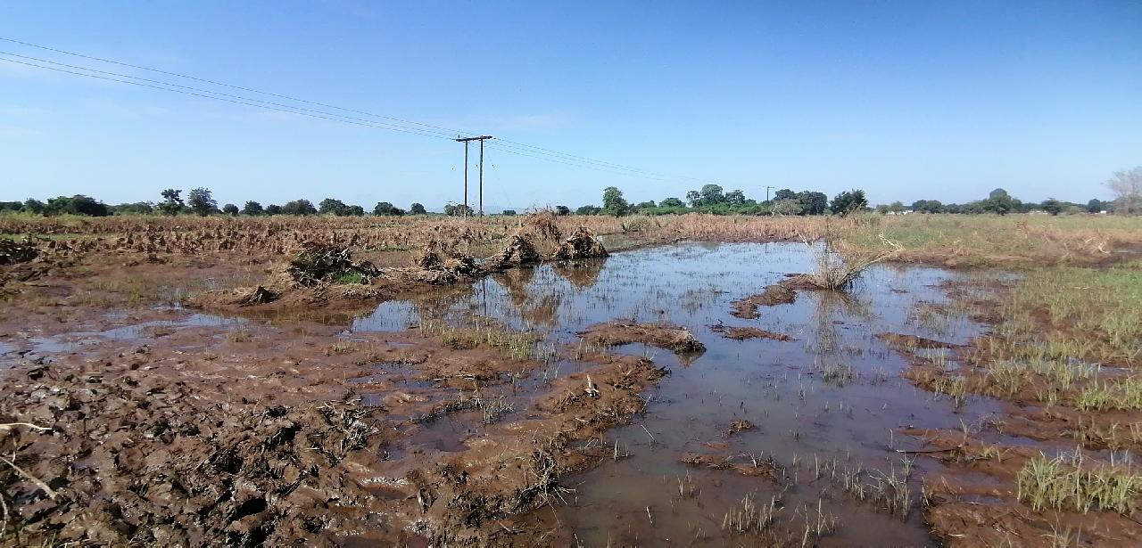 Freddy Brings Lean Times to Malawi - NASA Science
