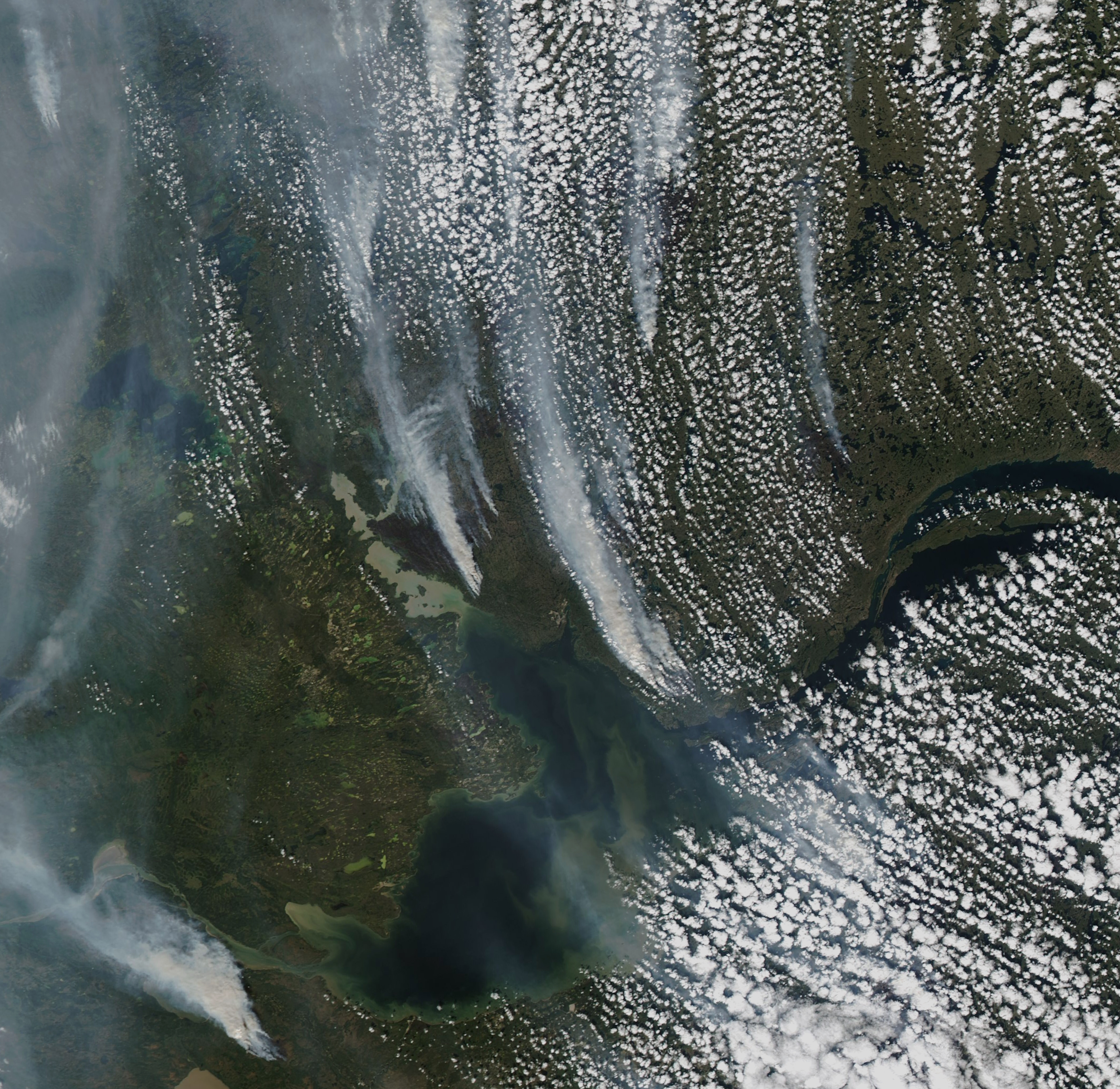 Relentless Wildfires in Canada - NASA Science