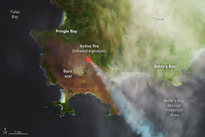 Fire Chars Pringle Bay - NASA Science