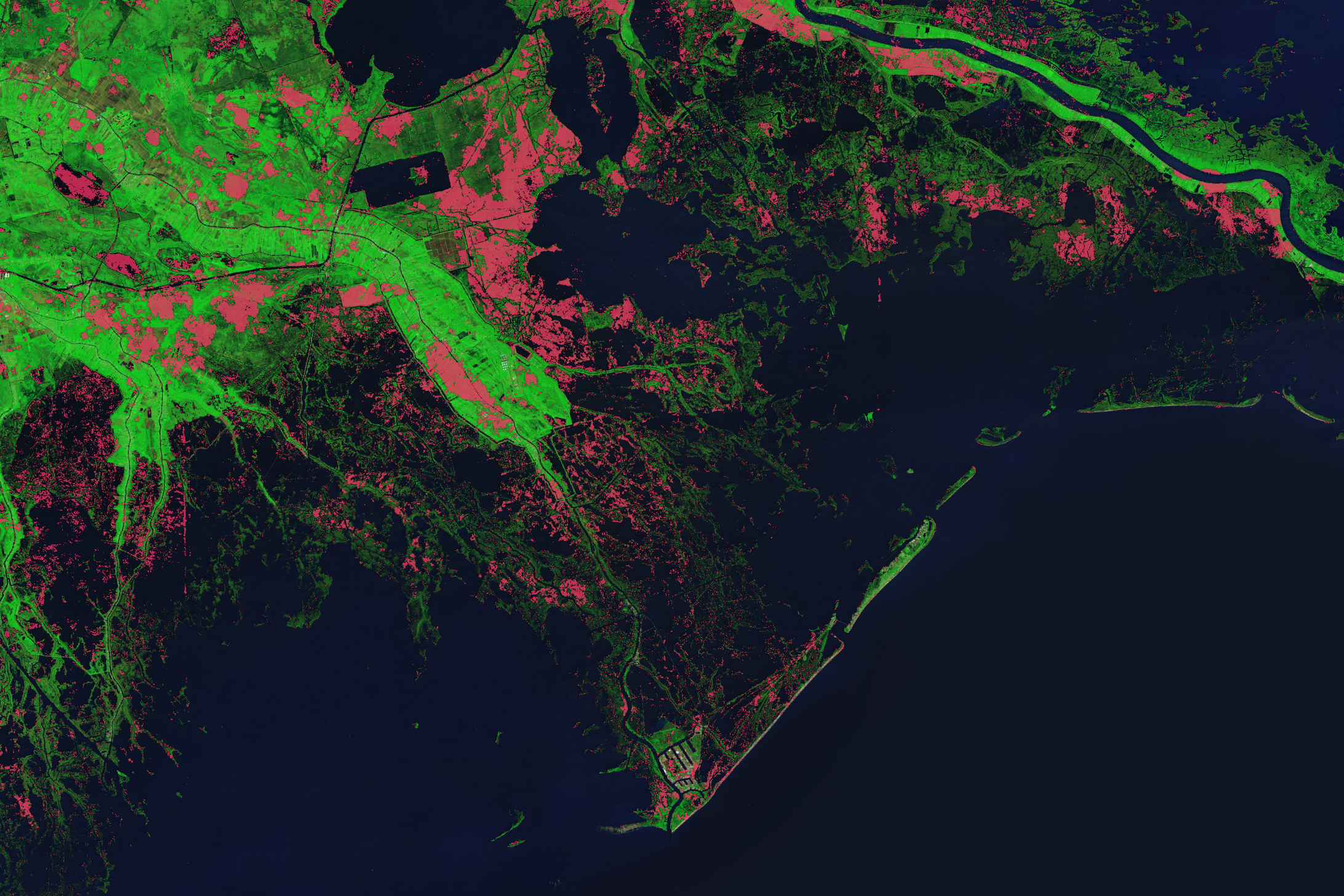 Hurricanes Have Left Their Mark on Louisiana’s Wetlands - NASA Science