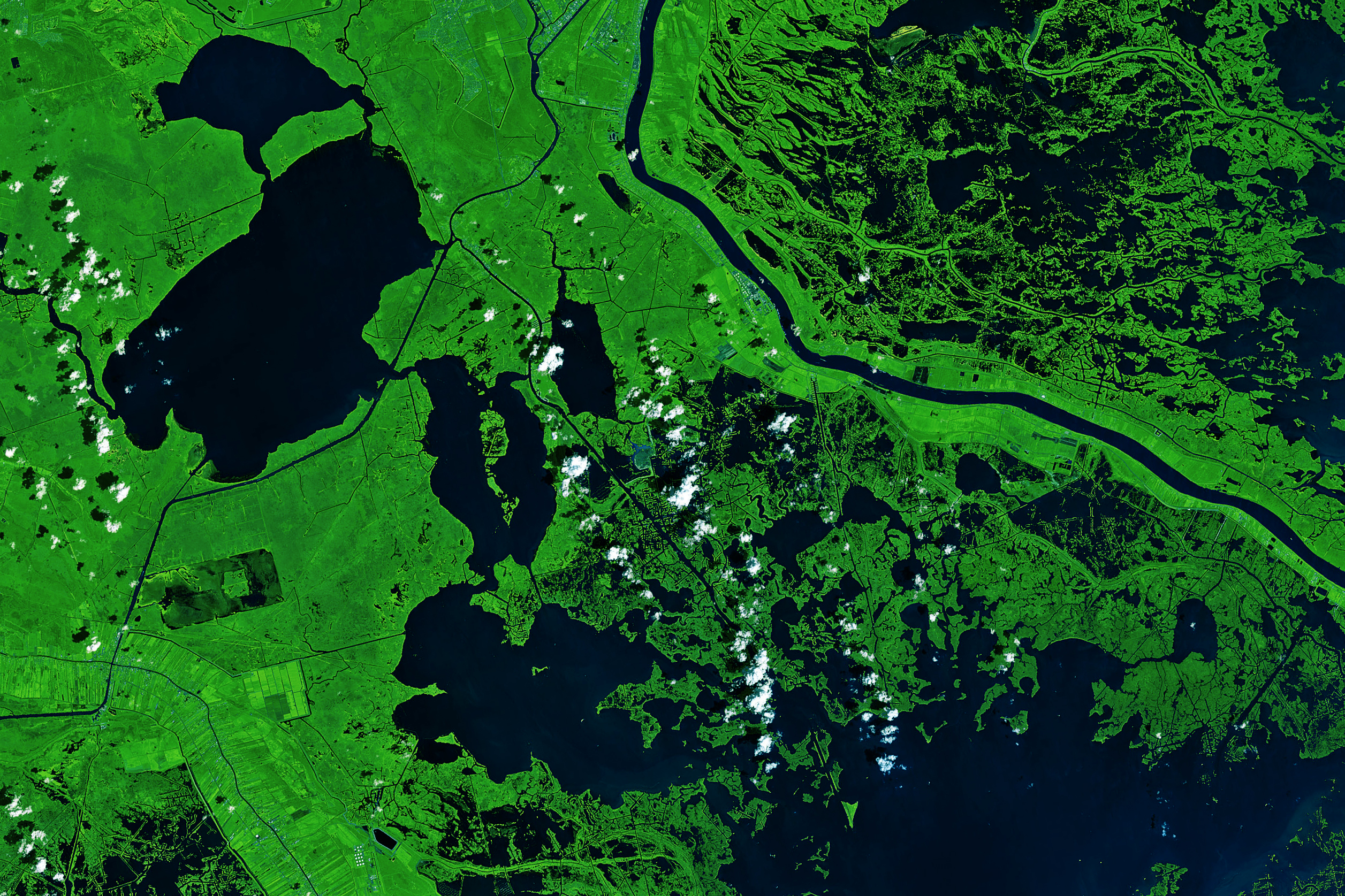 Hurricanes Have Left Their Mark on Louisiana’s Wetlands - NASA Science