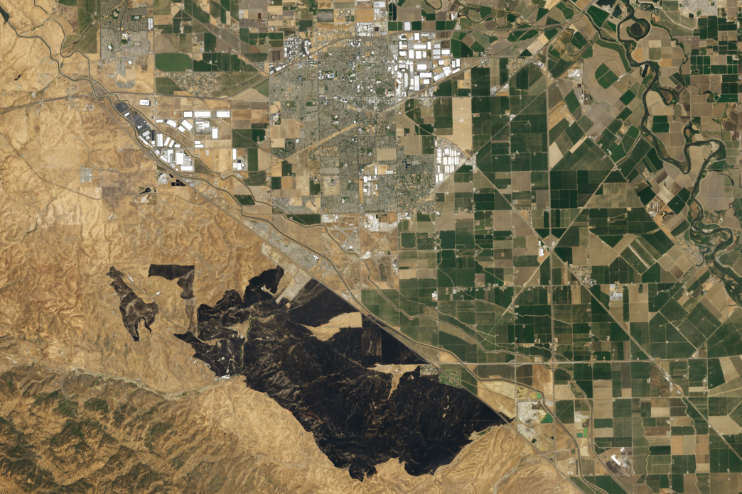 Grass Fire Chars California - NASA Science