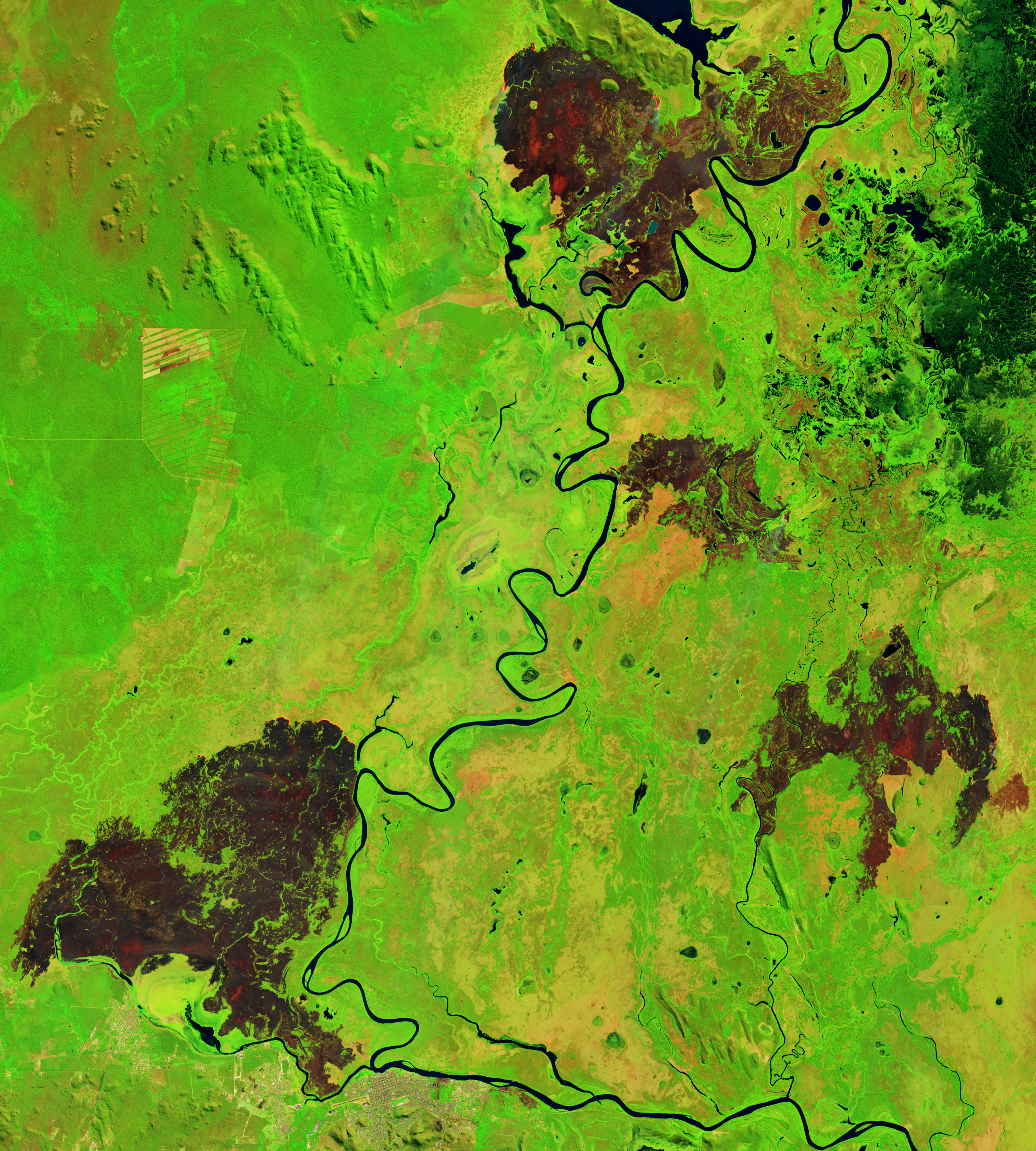 Early Fires in Brazil’s Pantanal - NASA Science