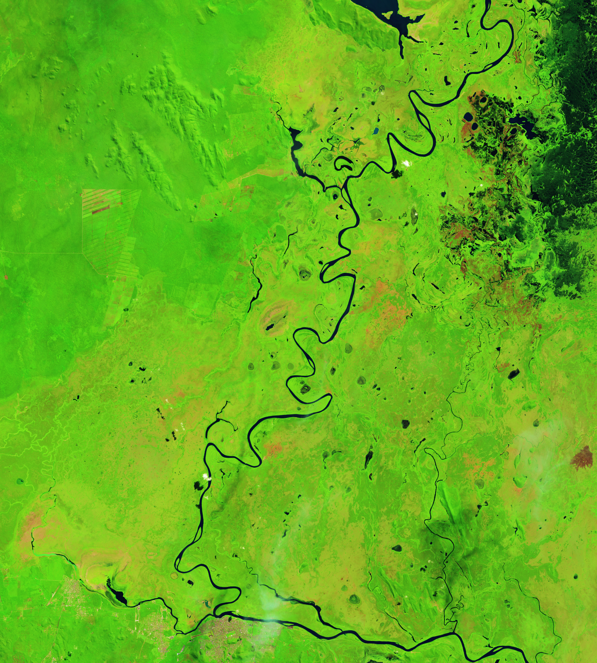 Early Fires in Brazil’s Pantanal - NASA Science