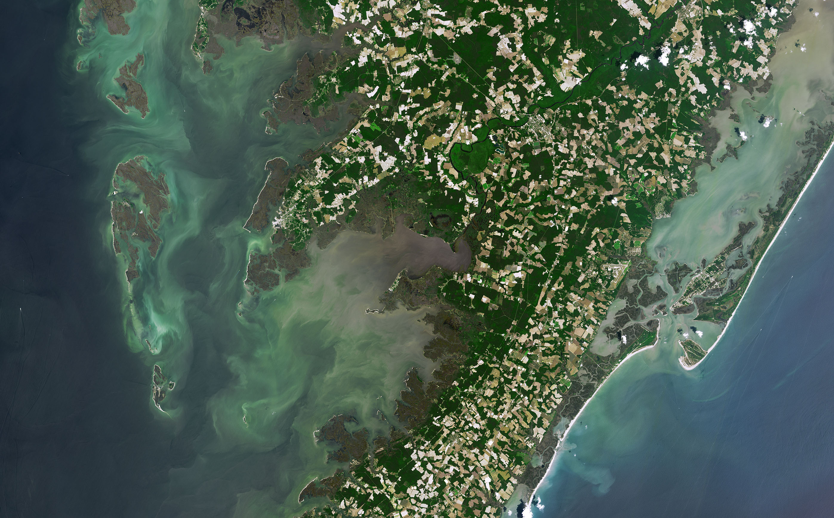 NASA Returns to the Beach: Assateague on the Move - NASA Science
