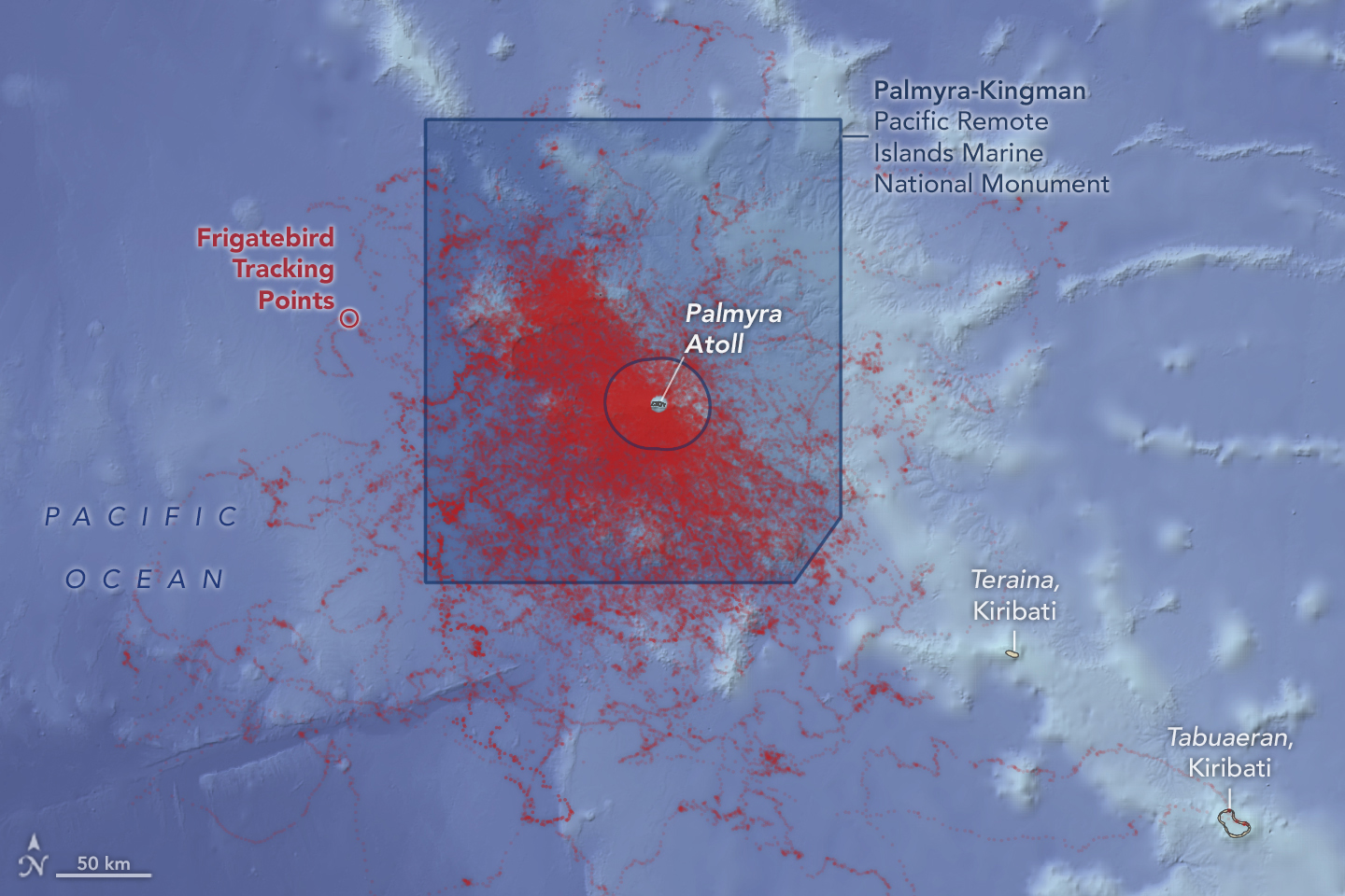 Tagging Along With Palmyra’s Wildlife - NASA Science