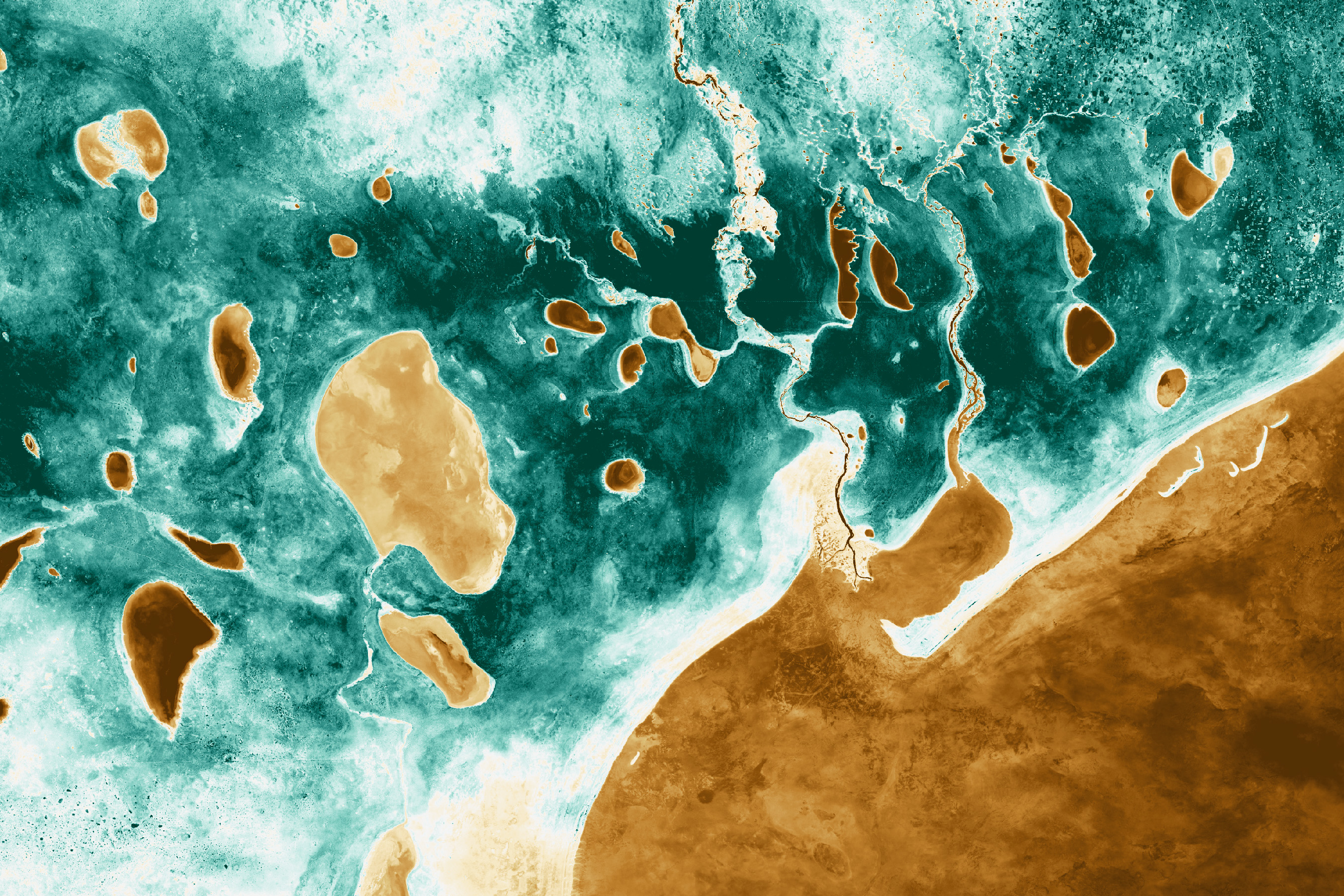 Tracking Elephants Across Namibia - NASA Science