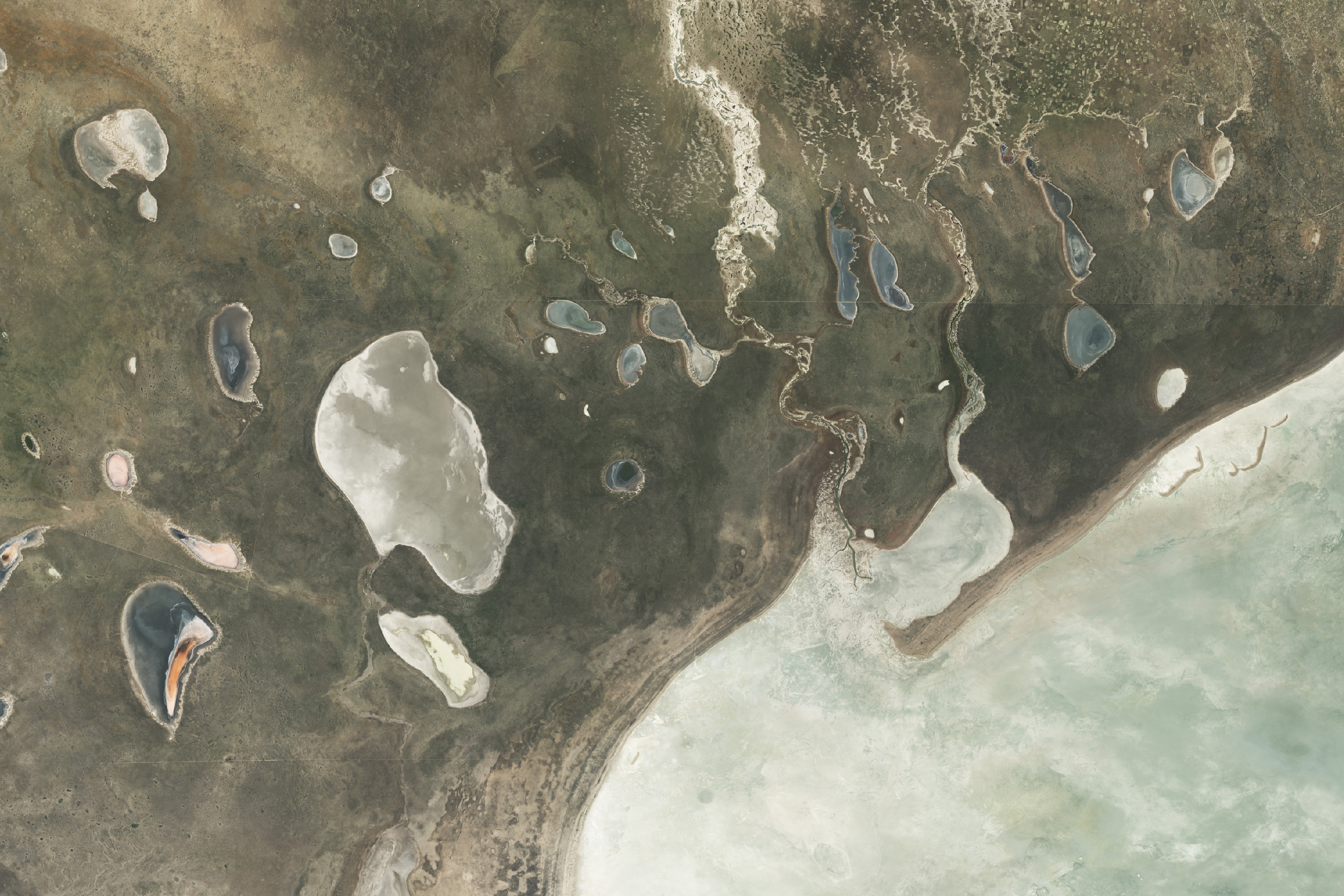 Tracking Elephants Across Namibia - NASA Science