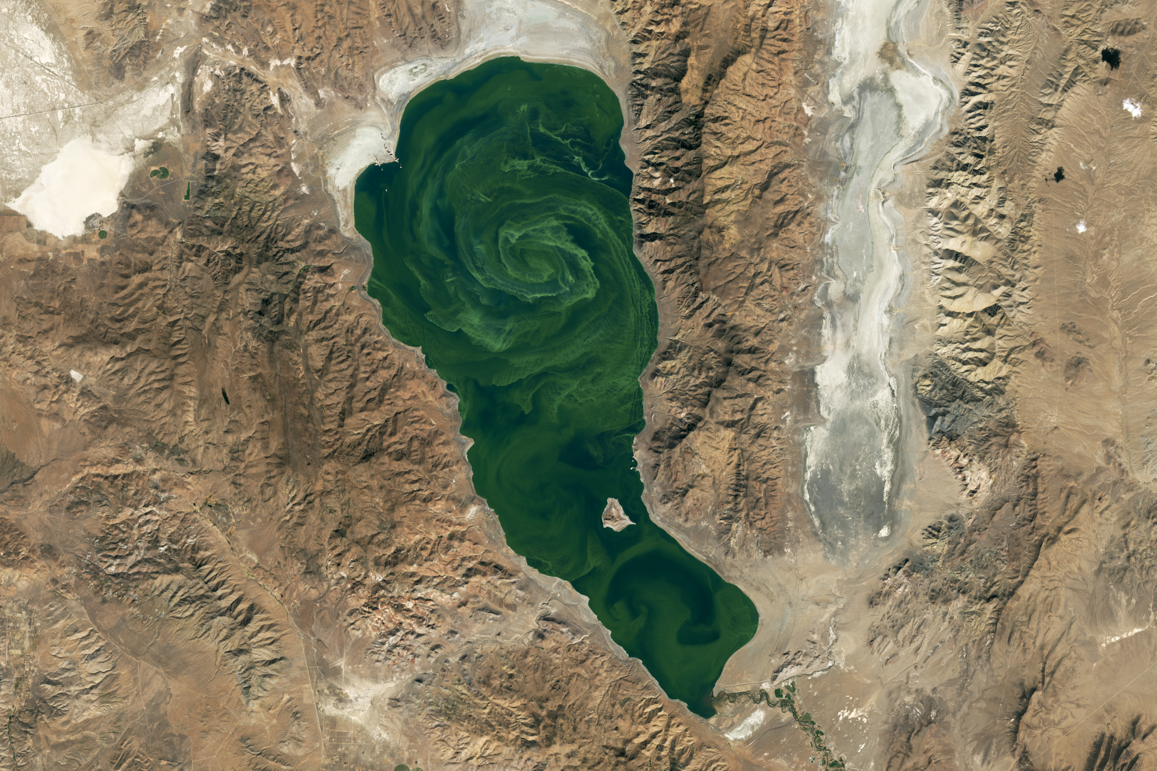 Pyramid Lake in Bloom - NASA Science