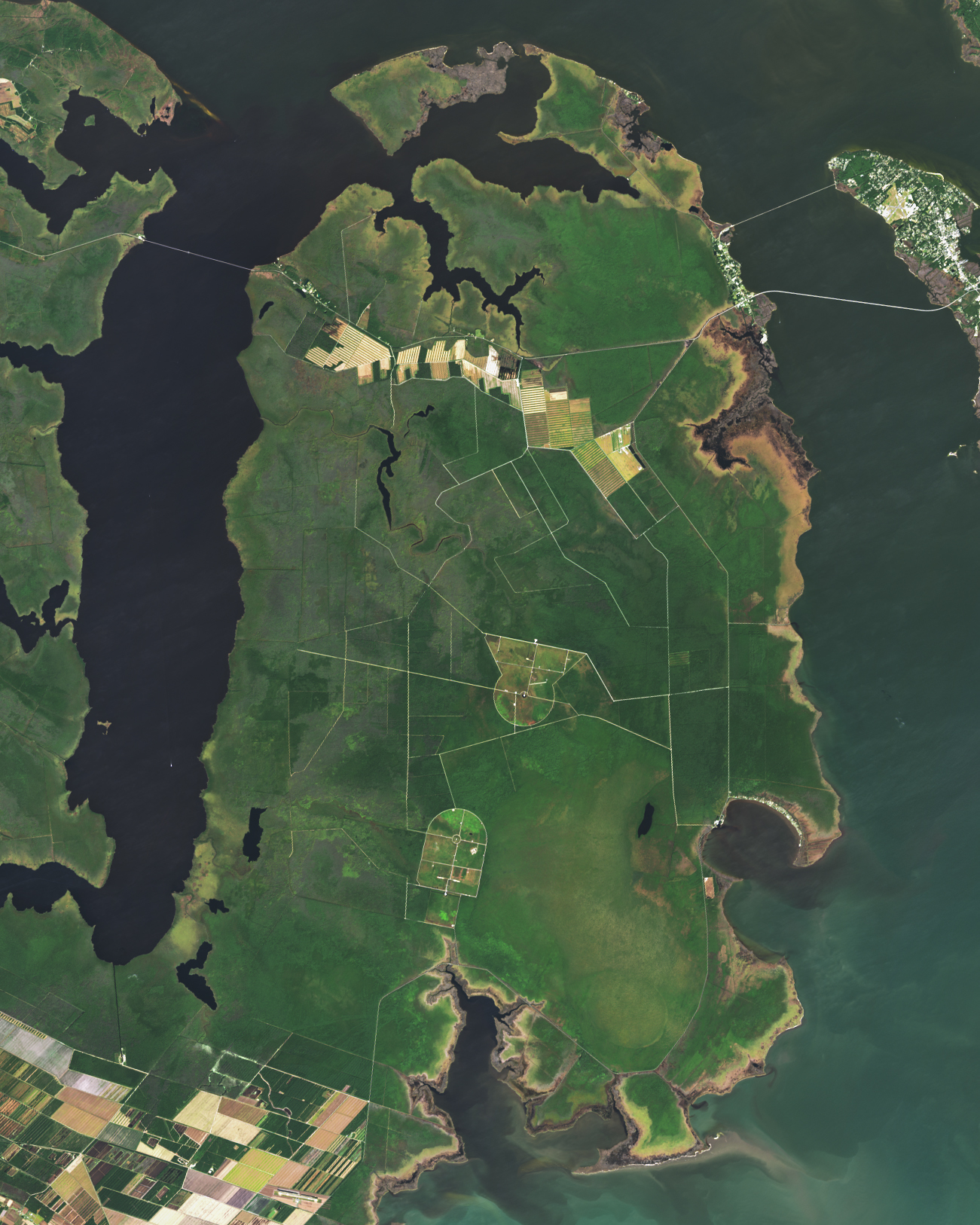 Ghost Forests Creep Into North Carolina - NASA Science