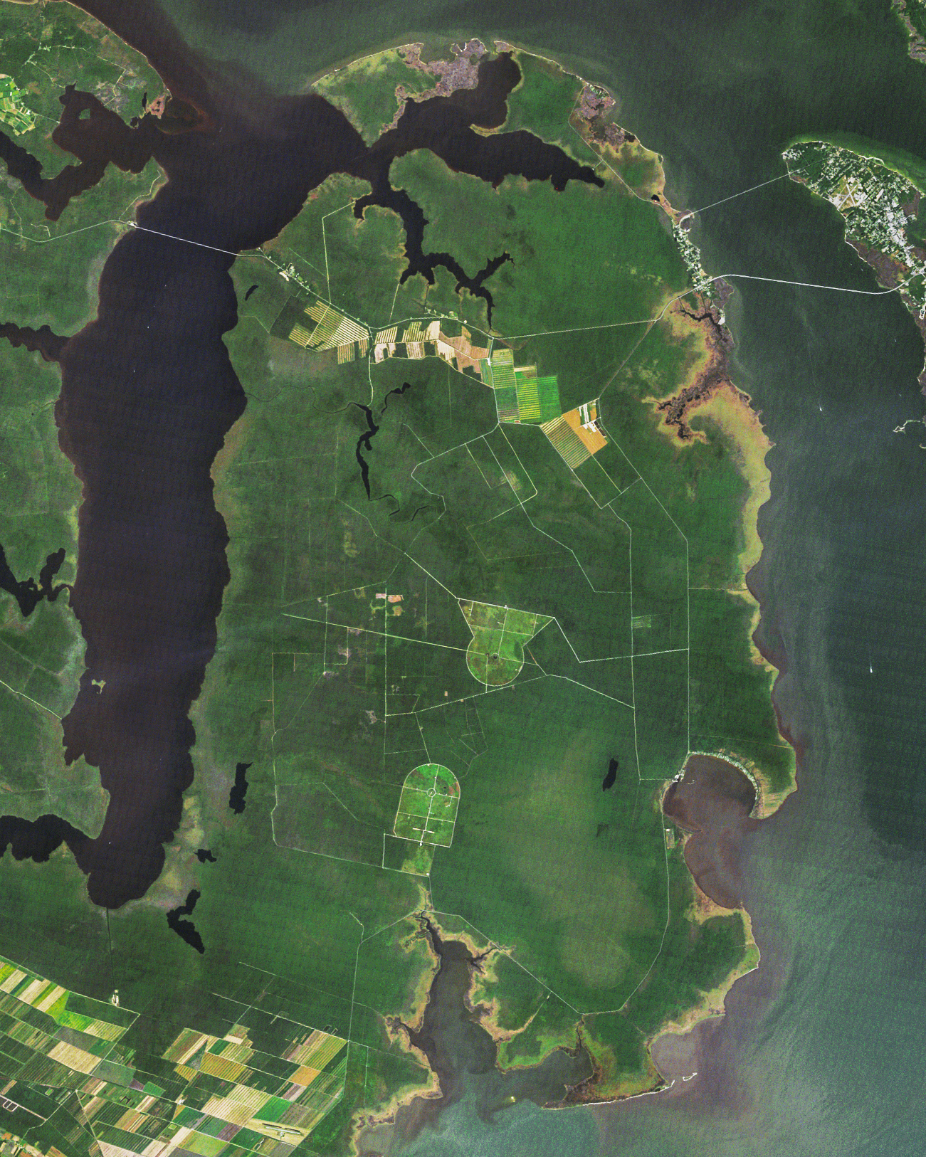 Ghost Forests Creep Into North Carolina - NASA Science