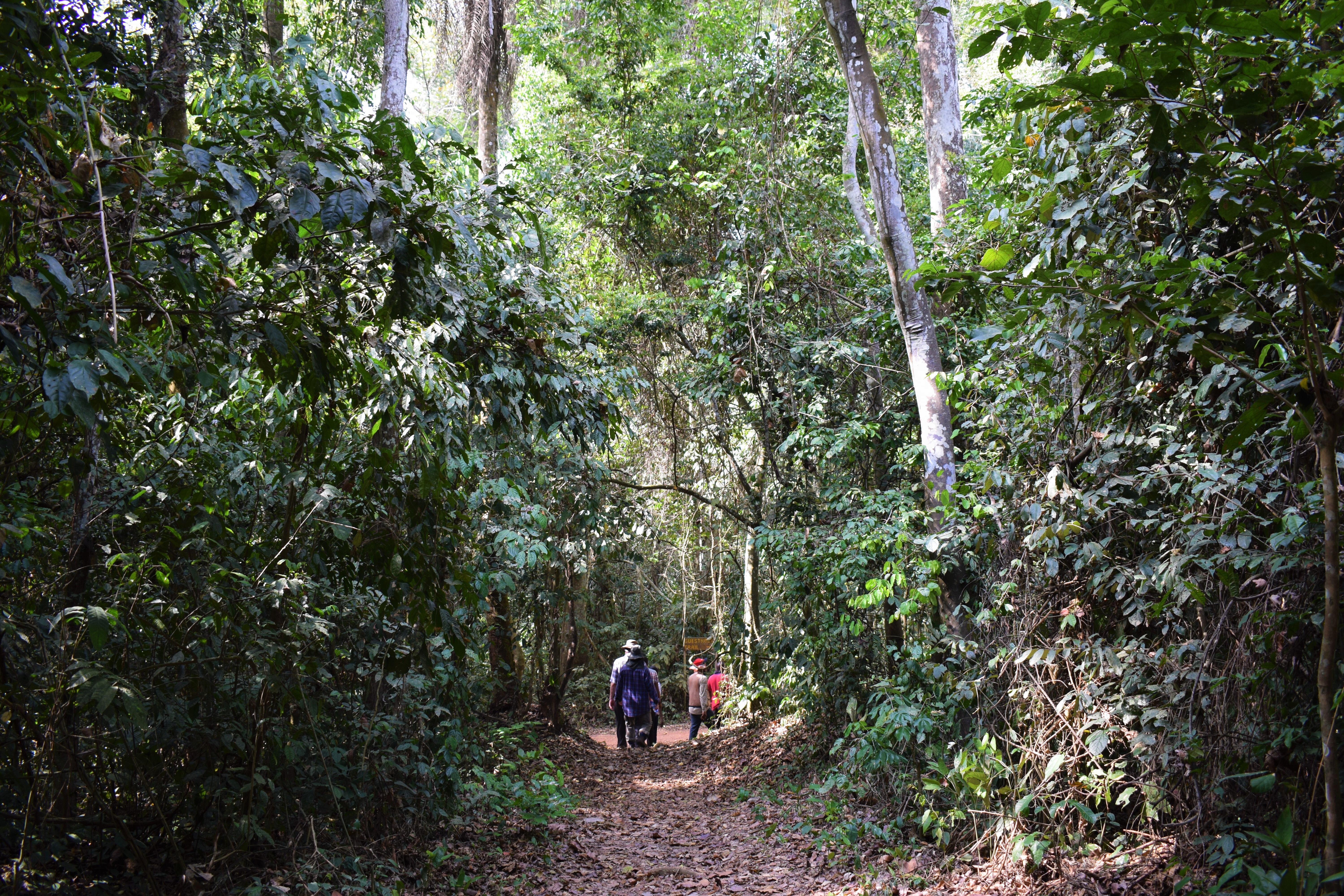 Ghana’s Declining Forest Reserves - NASA Science