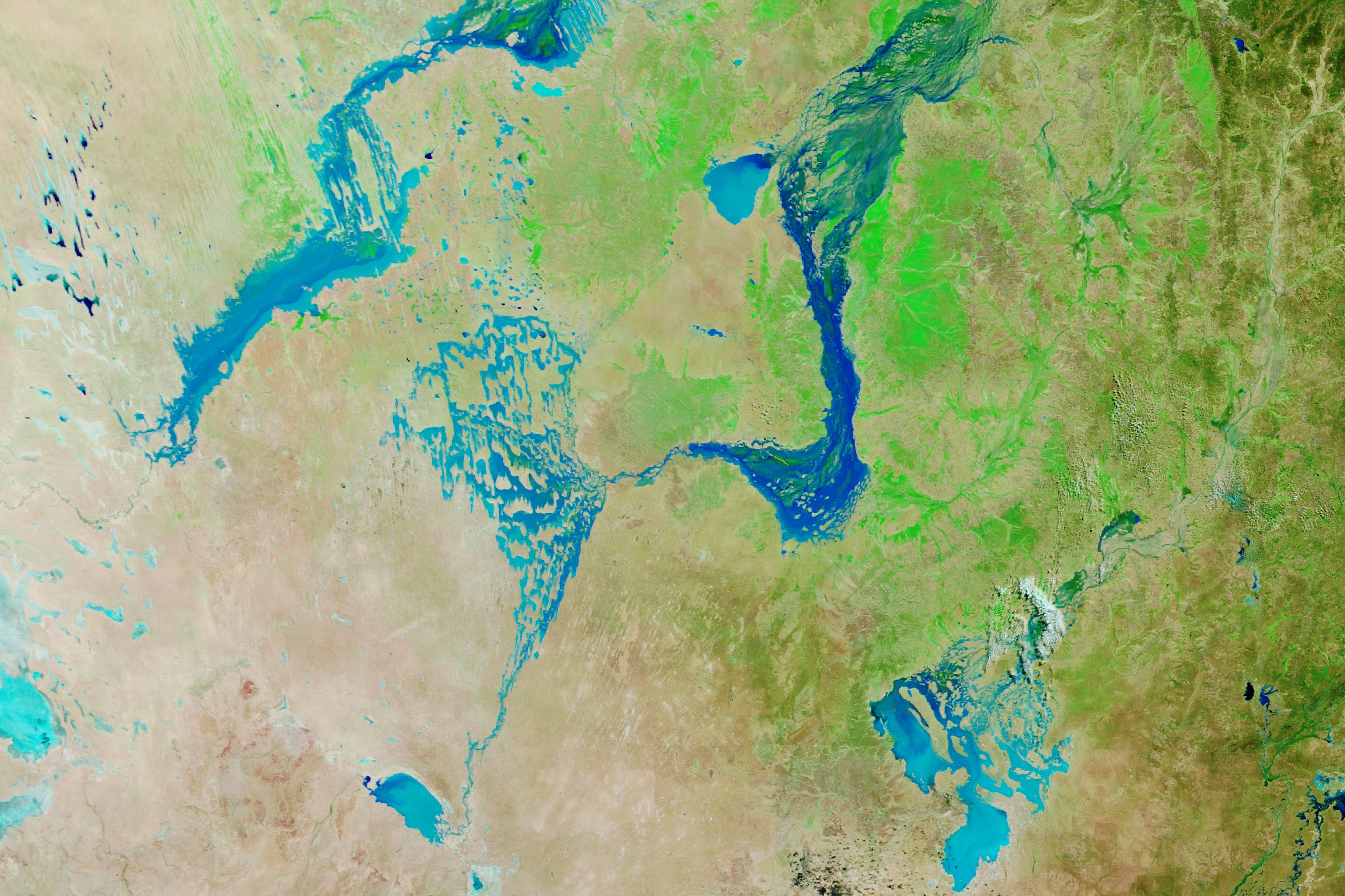 Floods Give Way to a Burst of Desert Life - NASA Science