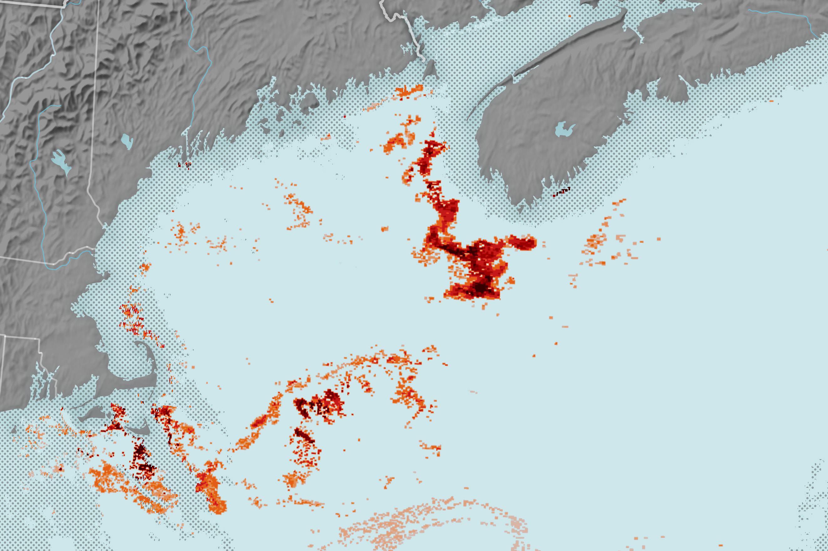 Mapping the Tiny Plankton That Feed Giant Right Whales - NASA Science