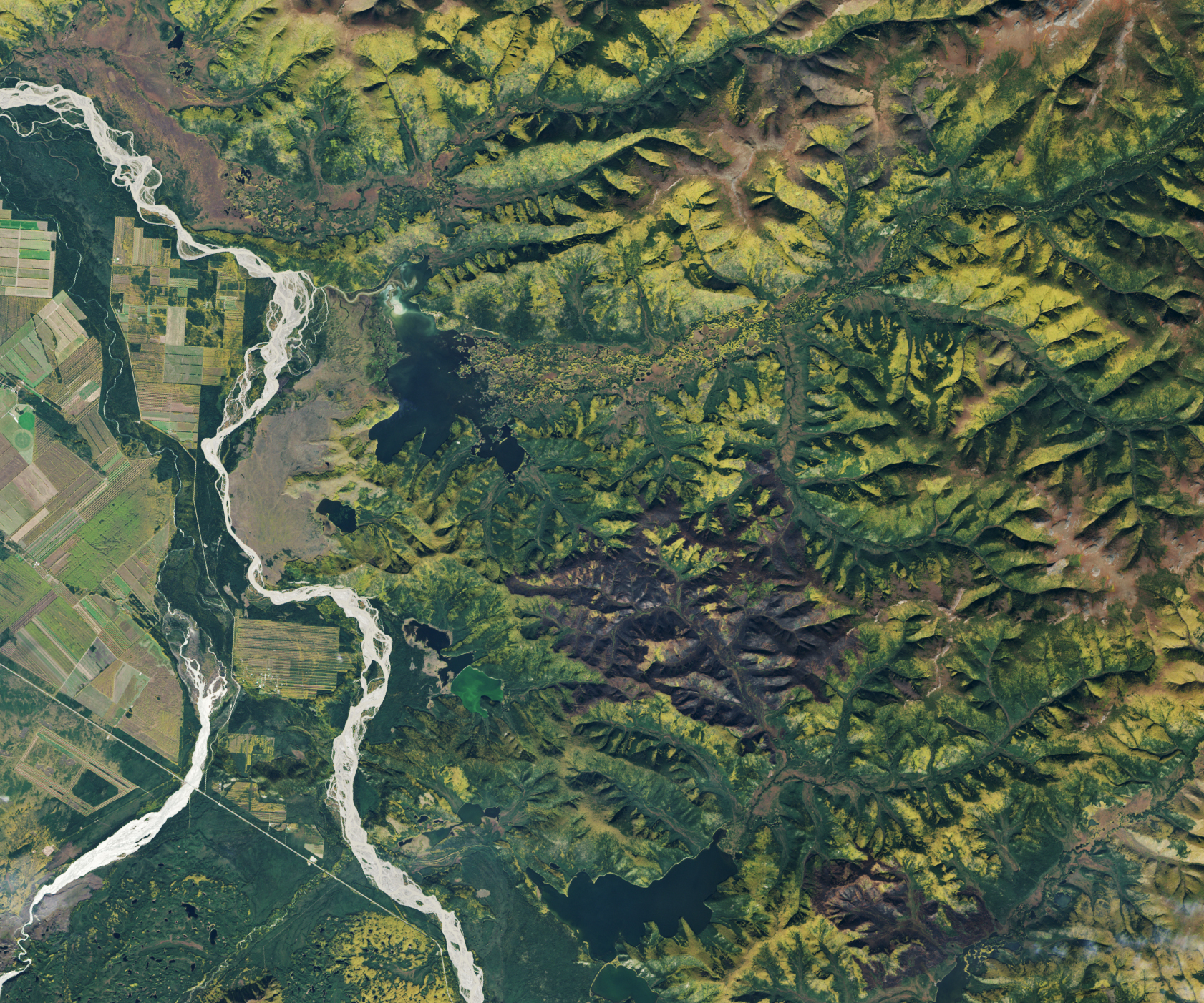 A Golden Moment for Boreal Forests - NASA Science